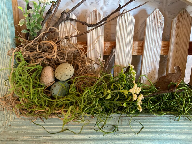 Framed Birds Nest With Eggs Spring Decor, Wall Decor, Cottage Decor ...