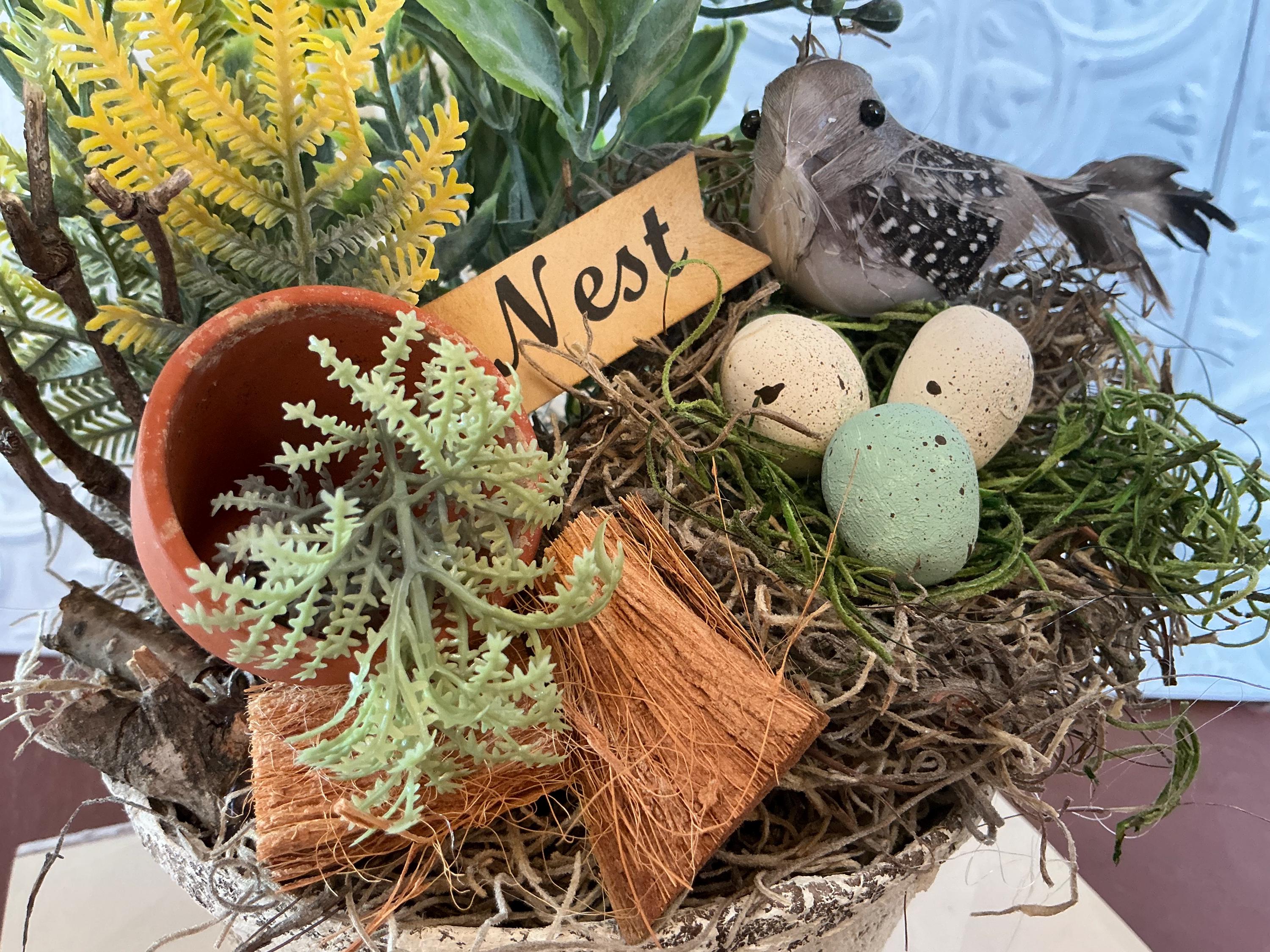 Bird Themed Spring Birds Nest Arrangement in Peat Pots Spring Bird Nest ...