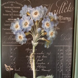 Botanical Blue Primrose Wall Art, Framed Art, Farmhouse Decor, French ...