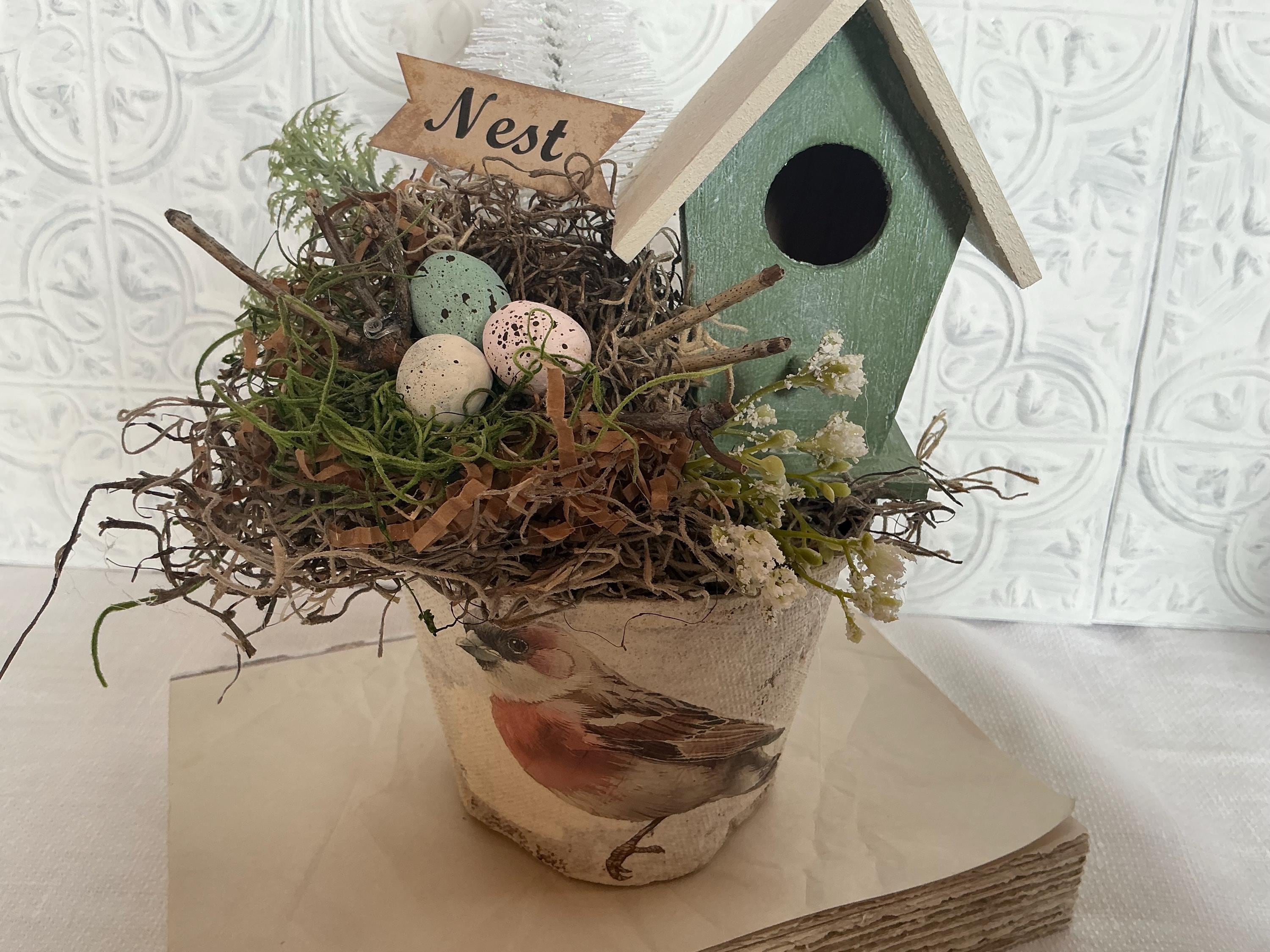 Bird Themed Spring Birds Nest Arrangement in Peat Pots Spring Bird Nest ...