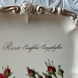 Botanical Rose Decorative Tray, Floral French Country Shabby Chic ...