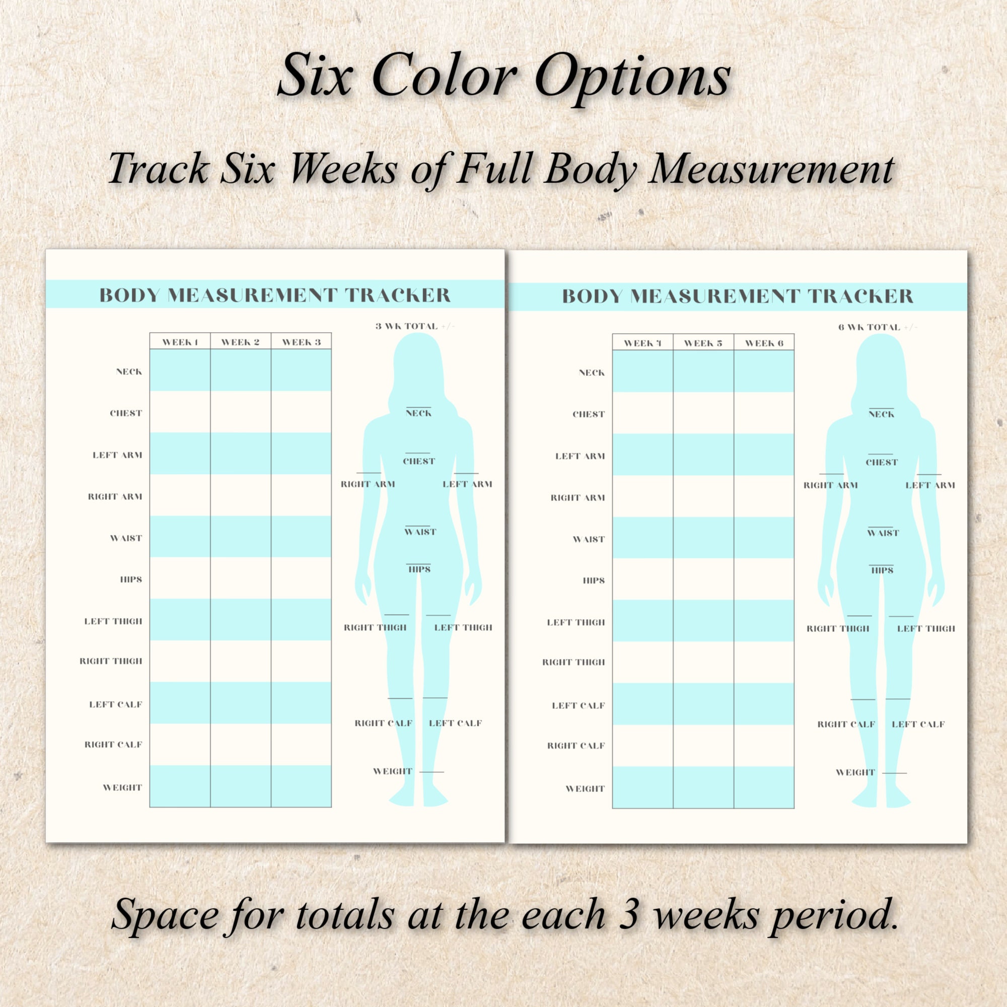 Daily Details | Six Week Body Measurement Tracker Journal - Etsy