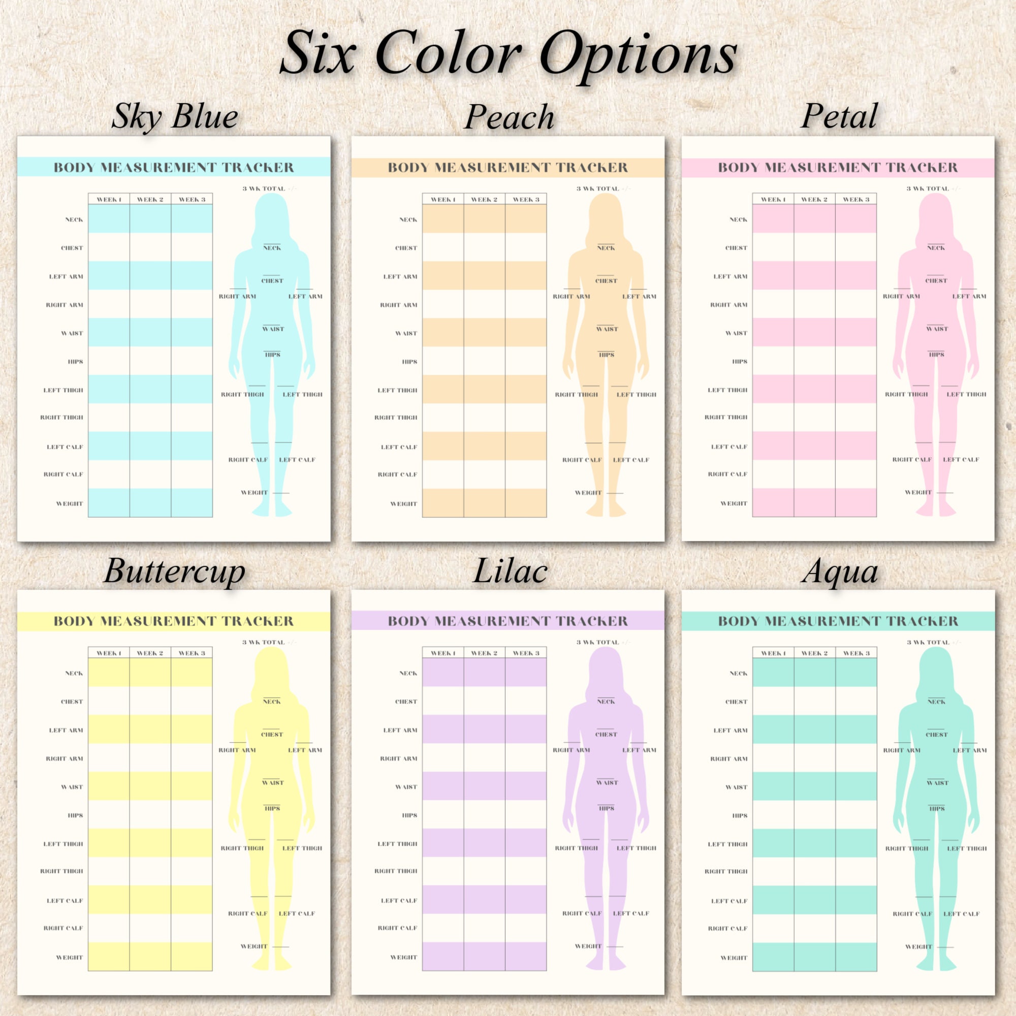 Daily Details | Six Week Body Measurement Tracker Journal - Etsy