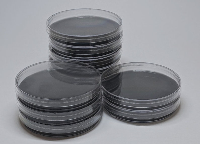 Activated Charcoal Nutrient Agar Kit, Create Your Own Black Agar Plates ...