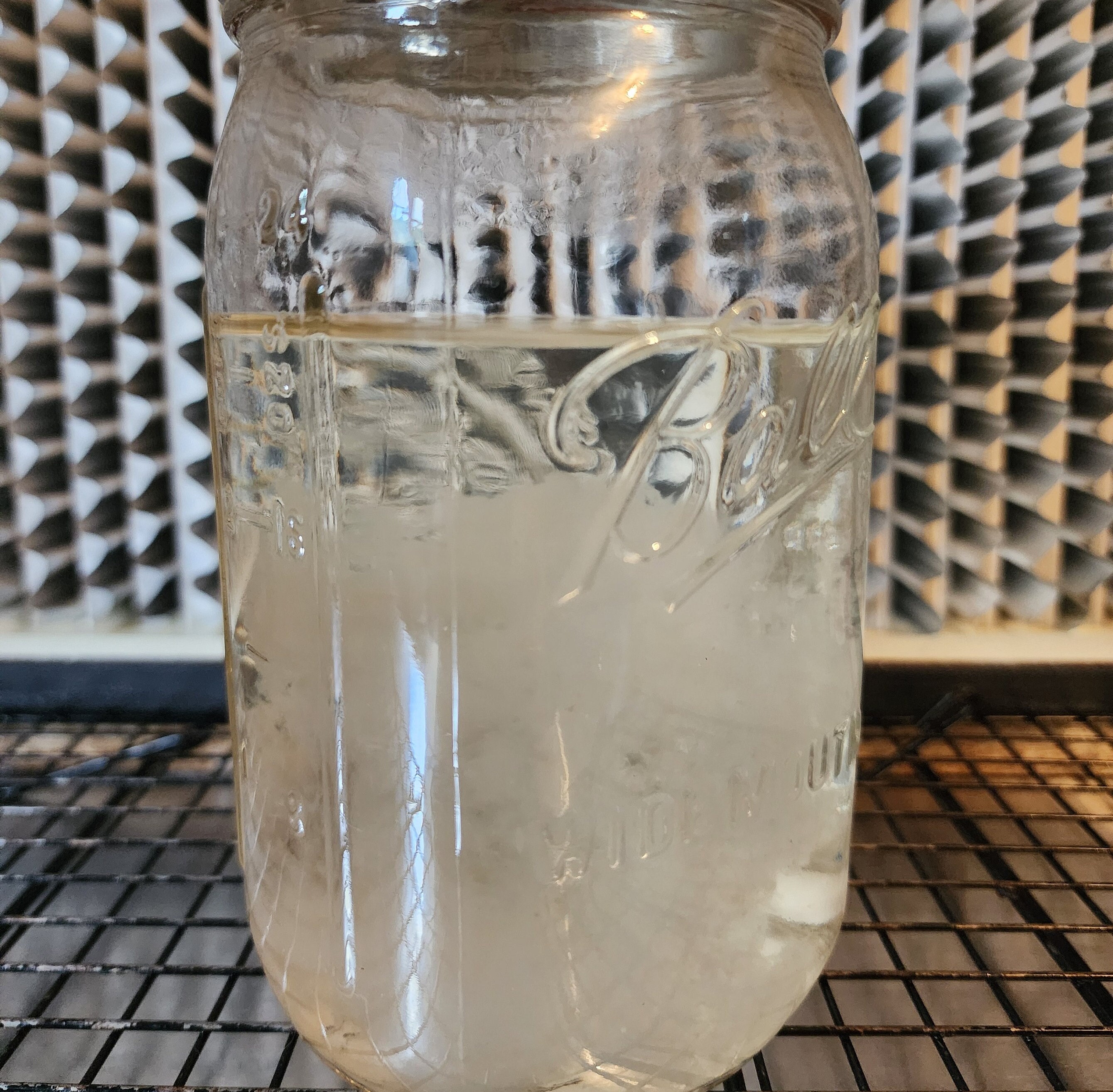 Liquid Cultures, Plus free Shipping on Orders Over 35 Dollars - Etsy
