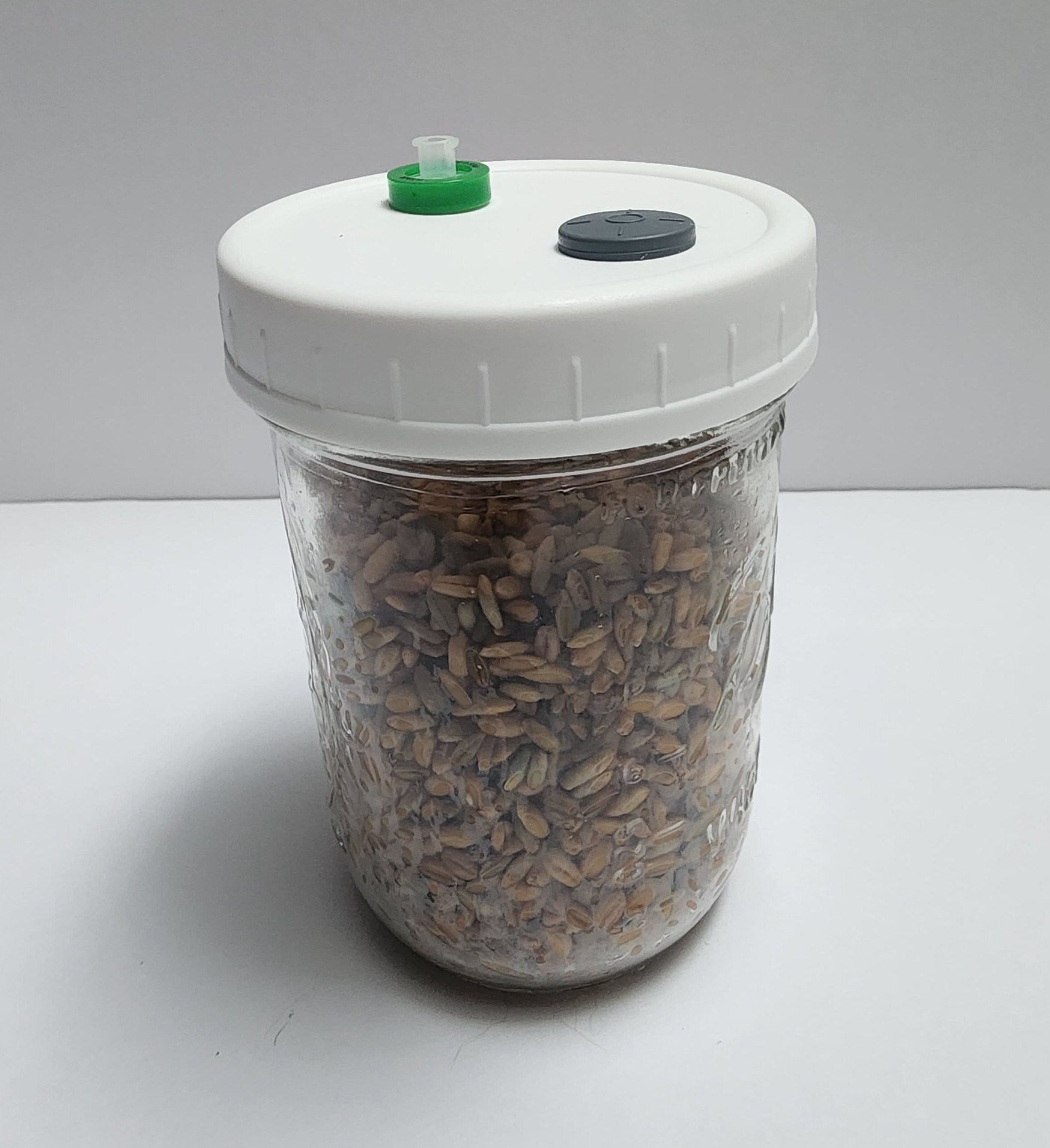 Liquid Culture Jars, Complete W/ LC Lid, Syringe Filter, Self-healing ...