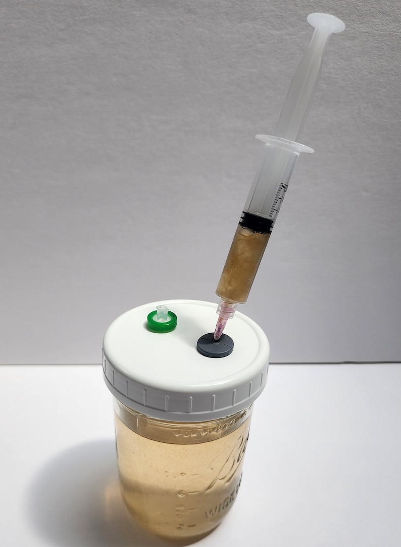 10ea. Mycology Syringe set. Sterile mycology syringes w/ sterile ...