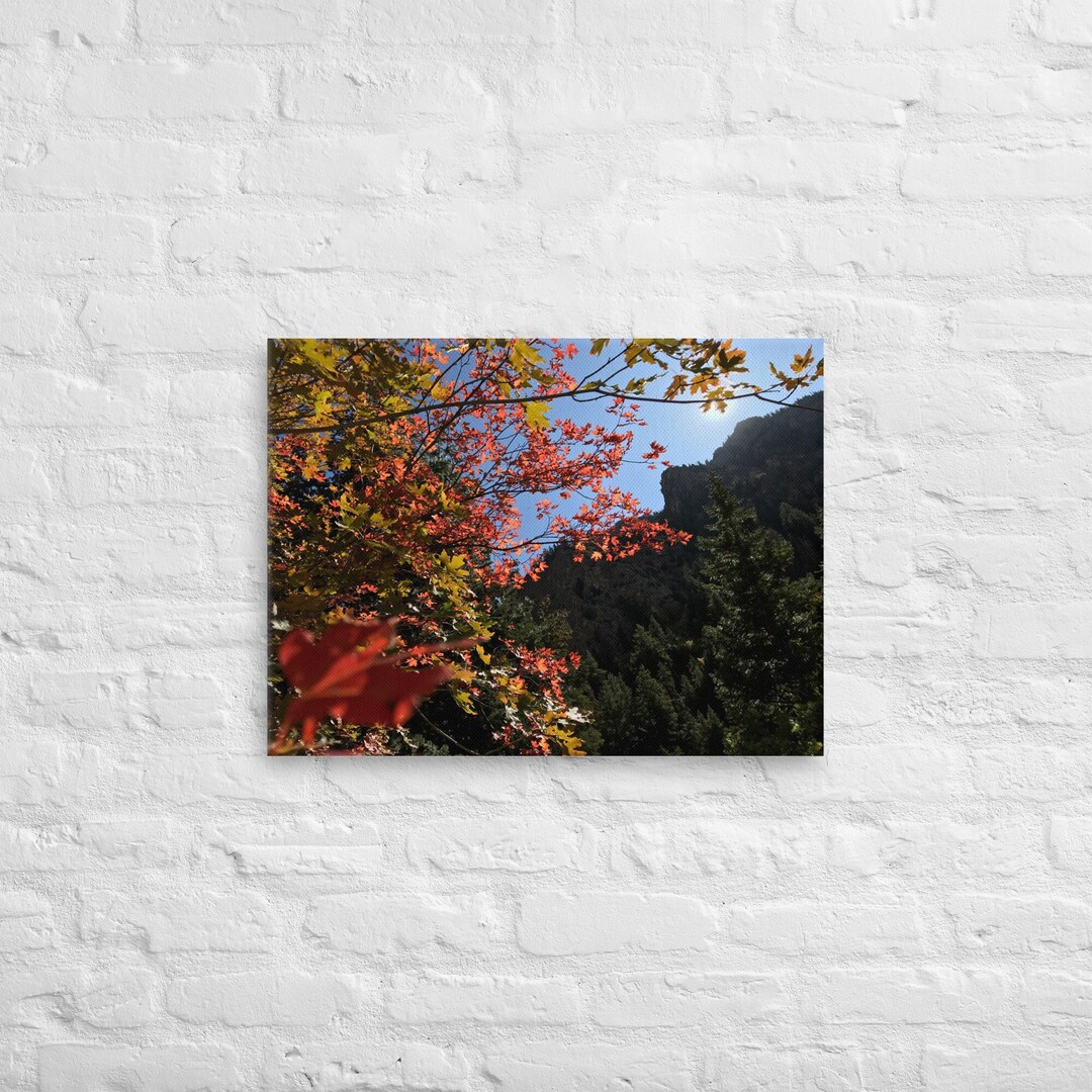 Sunshine Through the Fall Foliage Canvas Print With White Borders - Etsy