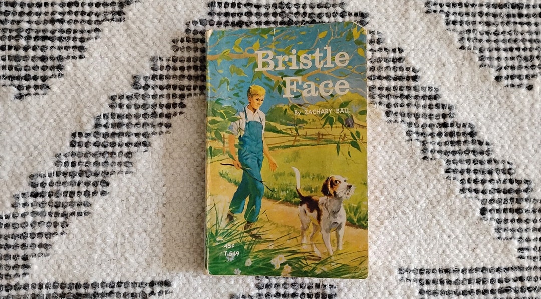 Bristle Face by Zachary Ball - Etsy