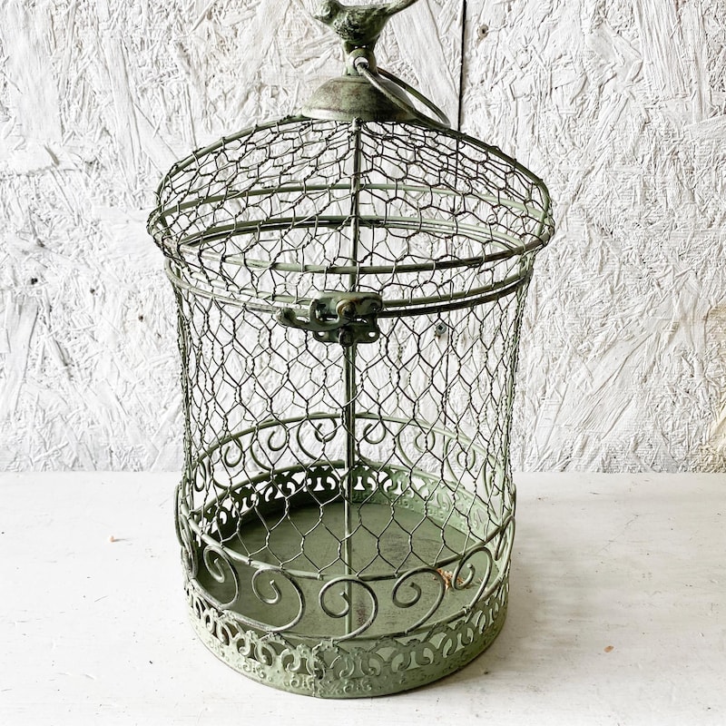 Decorative Bird Cages - Etsy