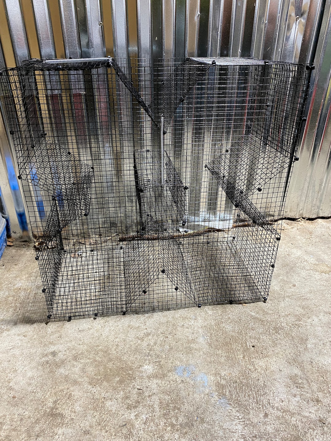 Four Leaf Clover Bait Fish Trap - Etsy