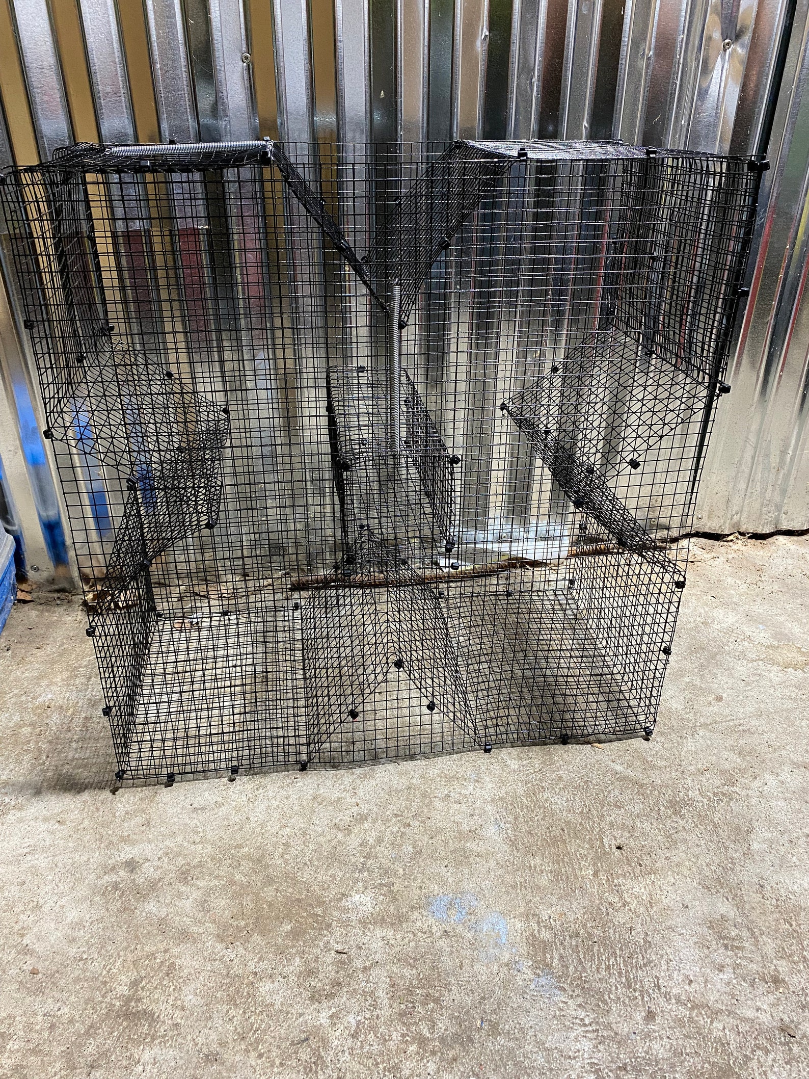 Four Leaf Clover Bait Fish Trap - Etsy