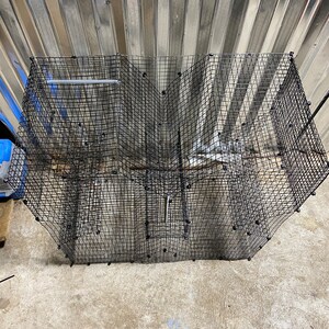 Four Leaf Clover Bait Fish Trap - Etsy