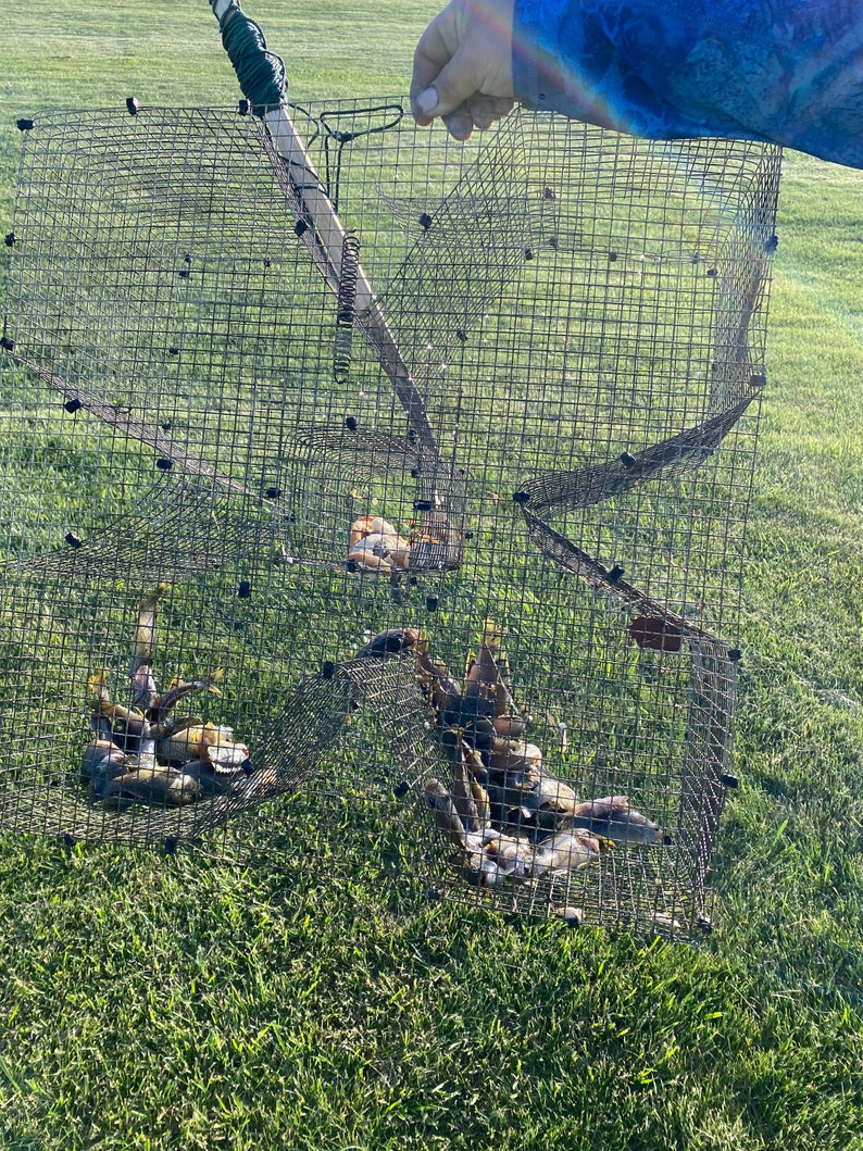 Four Leaf Clover Fish Trap - Etsy