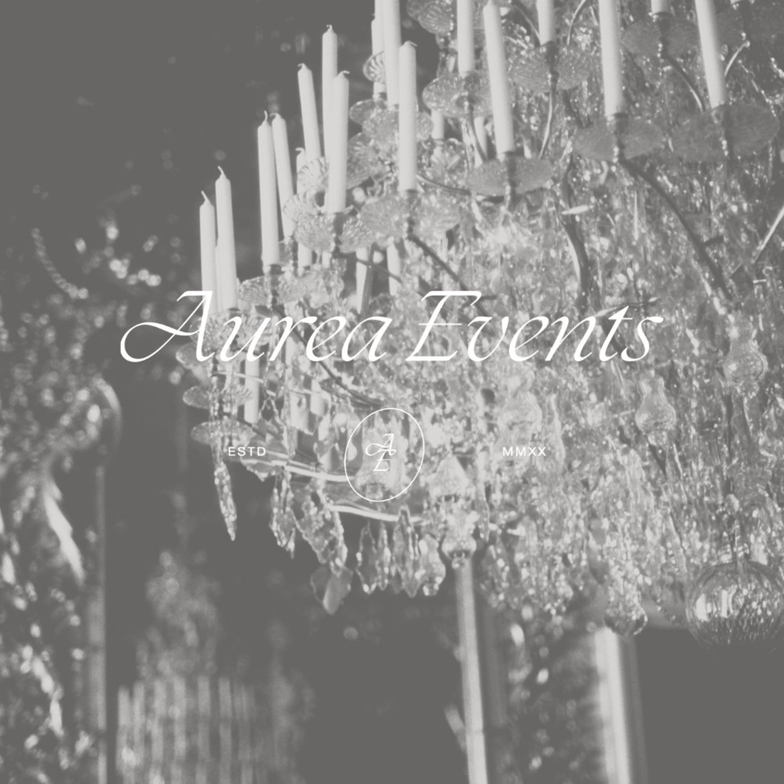 Modern Aesthetic Serif Text Logo Design Set - Modern Logo - Premade ...