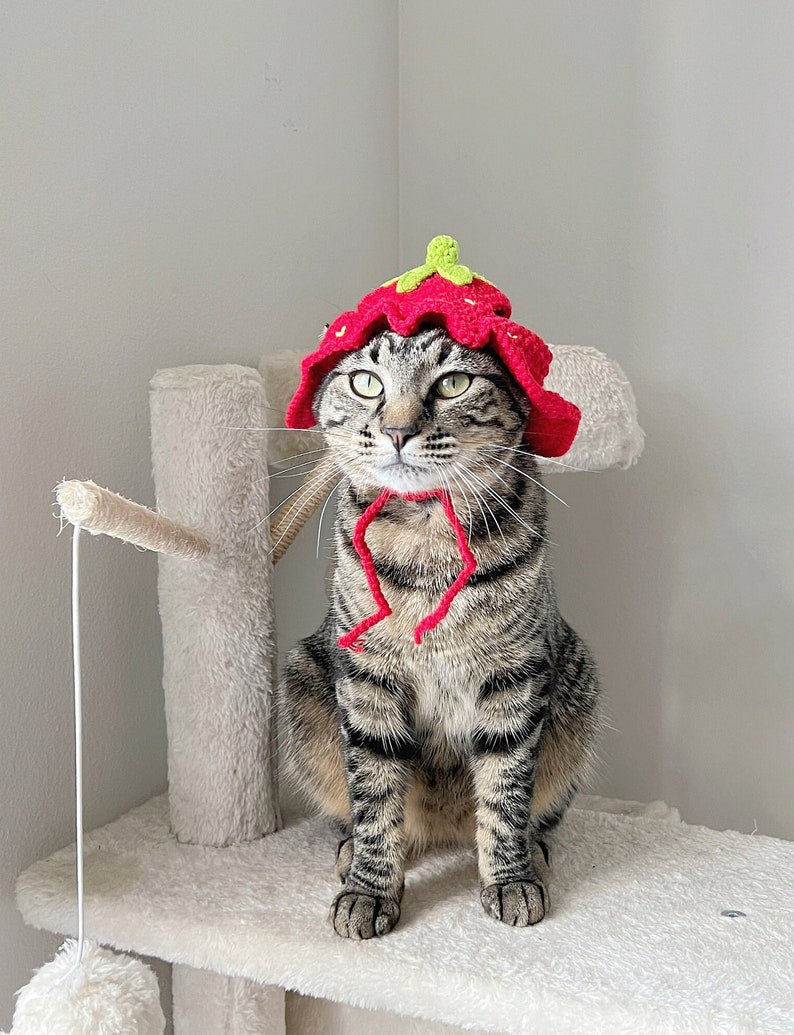 Cute Red Strawberry Crochet Bucket Hat for Cat Clothes Kawaii Cat ...