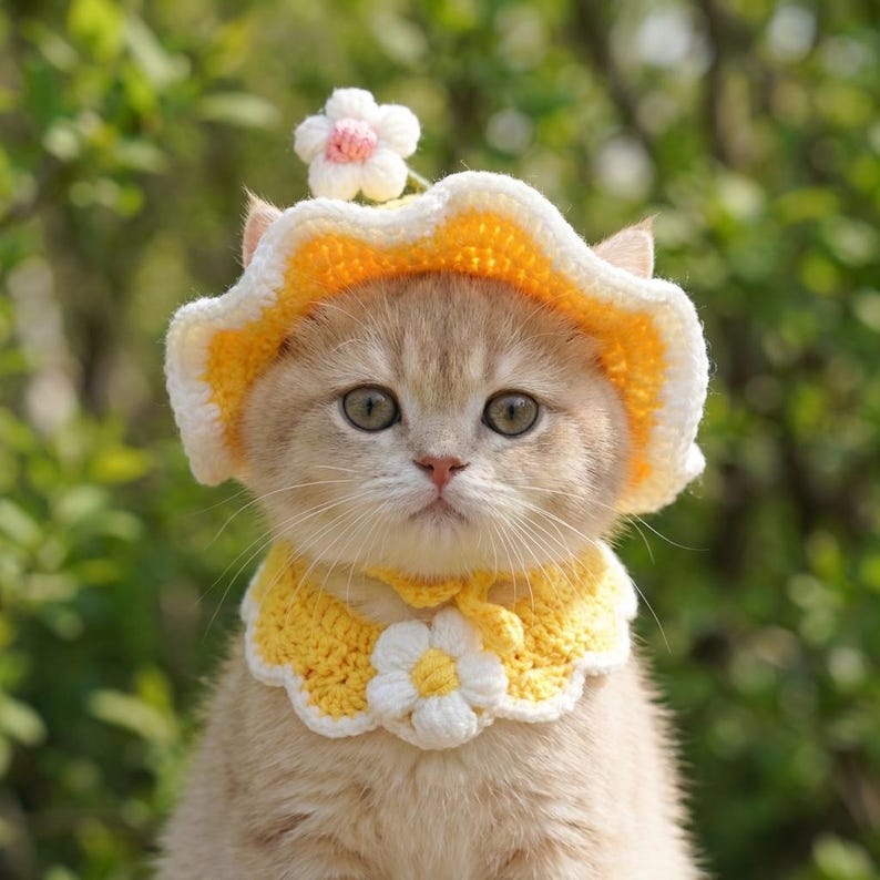 Crochet Cat Hat With Daisy Flower | Cute Yellow Pet Bonnet | Handmade ...