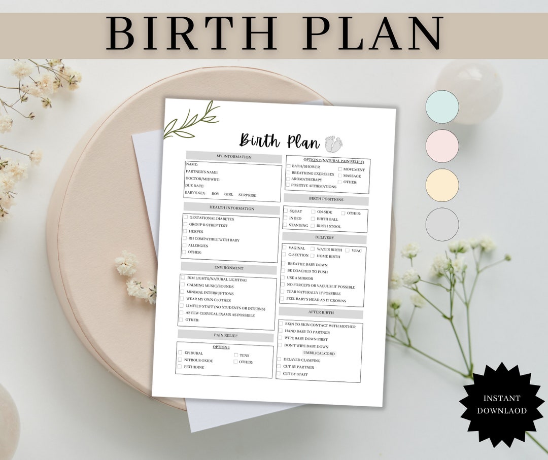 Pregnancy Birth Plan Checklist Printable Pregnancy Birth - Etsy