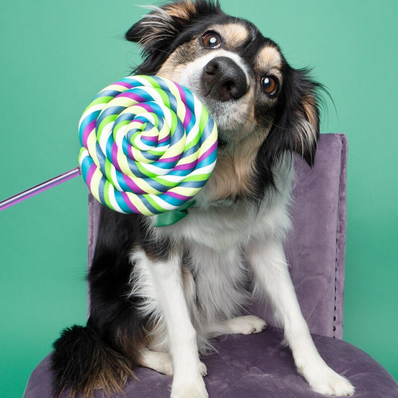 LolliPropShop - Etsy