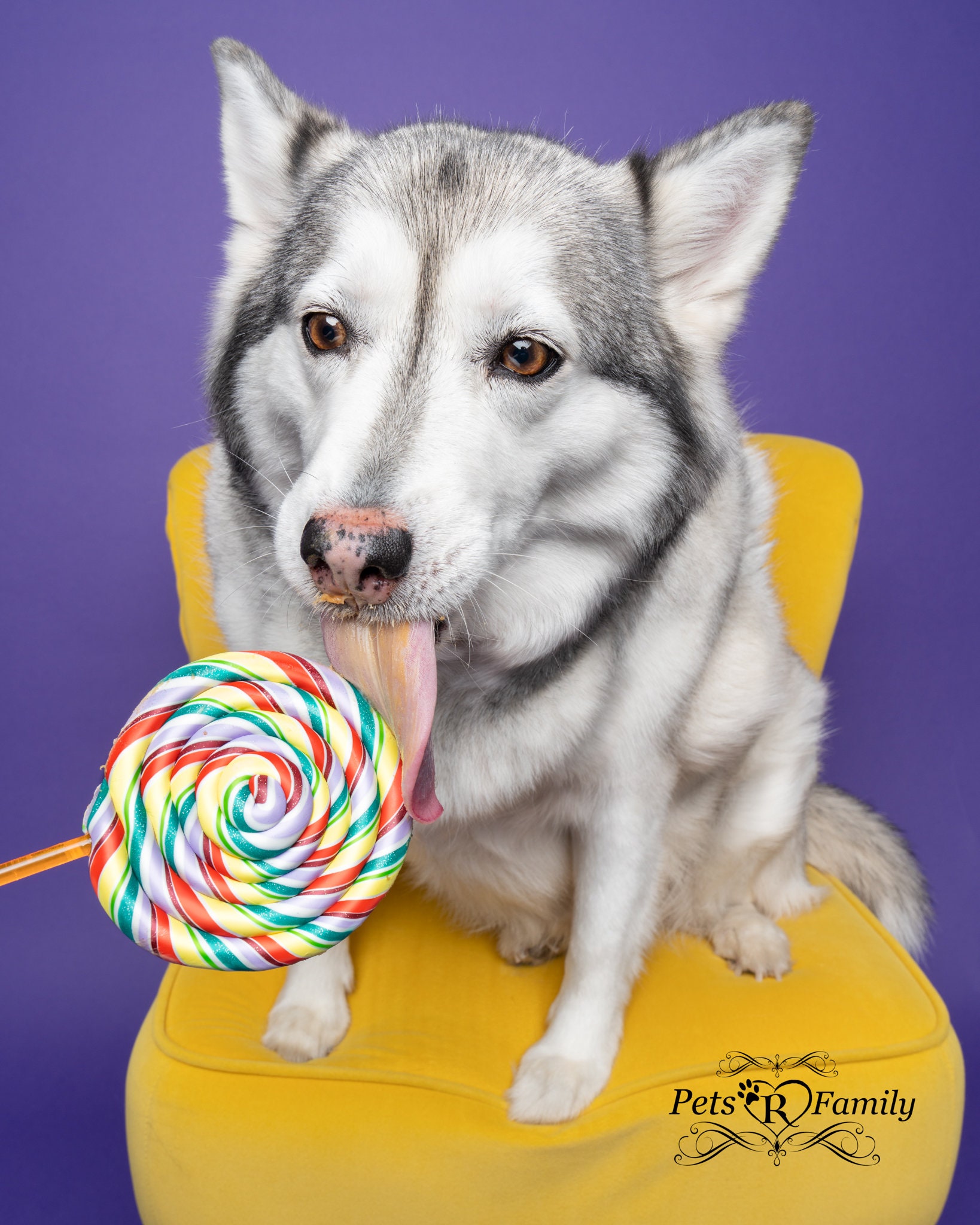 Single Rainbow Lollipop Photography Prop /handmade Shatter - Etsy