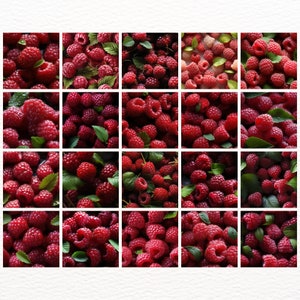 Raspberry Seamless Pattern - 20 DIY Crafts Backgrounds for Digital ...