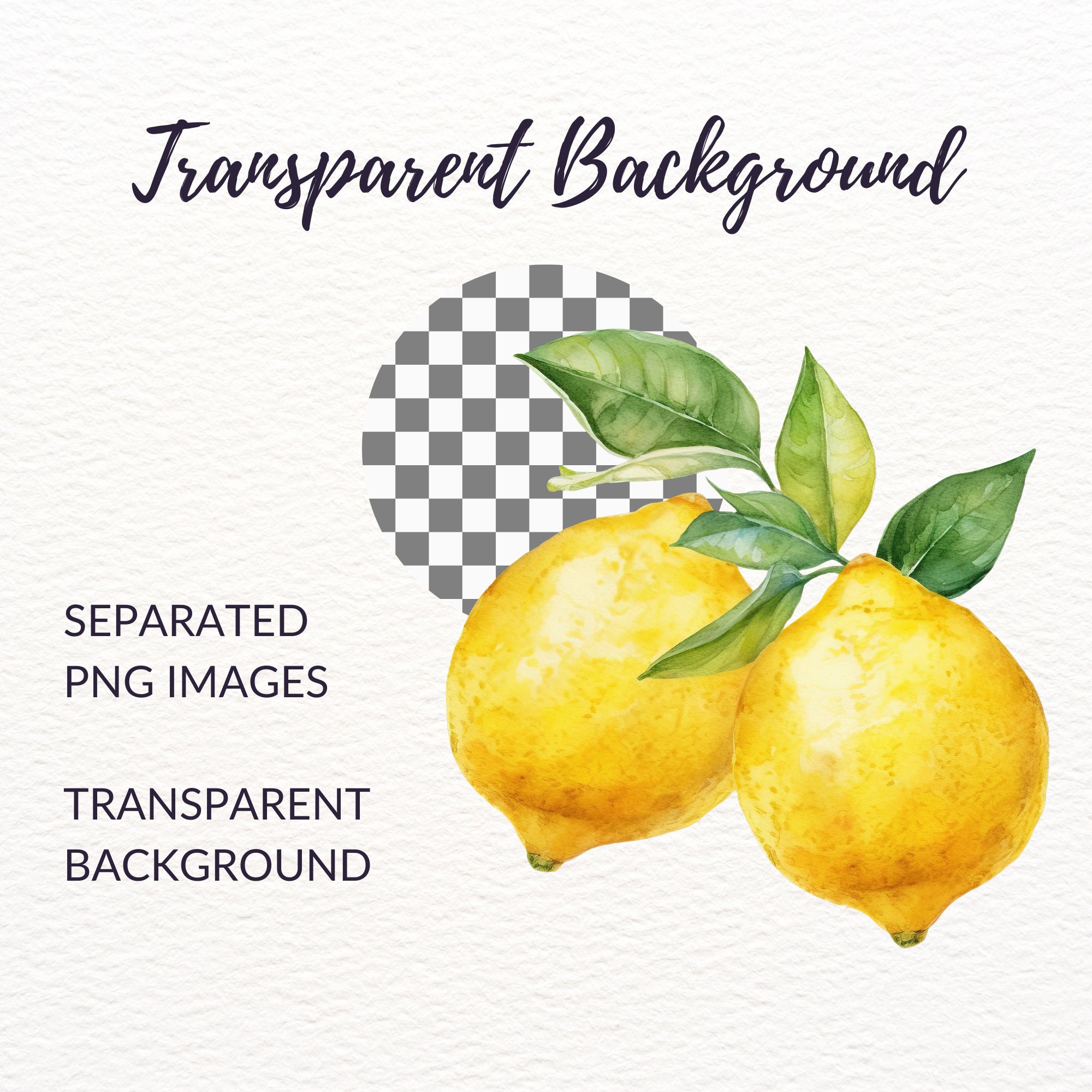 Watercolor Lemon Clipart Bundle - 20 Citrus Fruit PNG Graphics, Instant ...