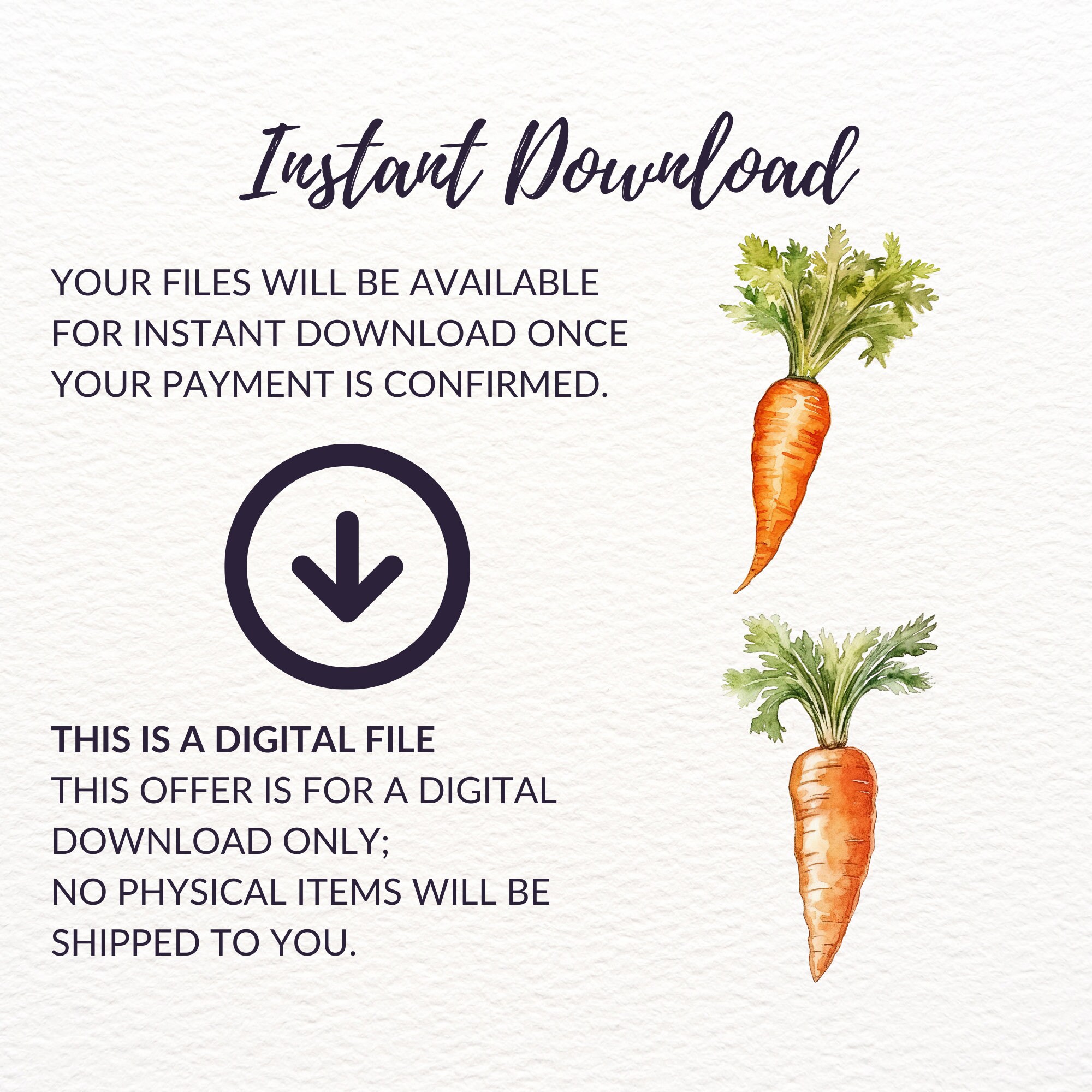 Watercolor Carrot Clipart Bundle - 20 Vegetable Garden Easter Graphics ...