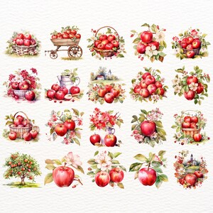 Watercolor Red Apple Clipart Bundle - 20 Digital Fruit PNG ...