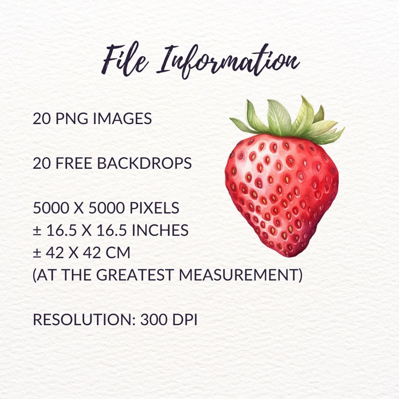 Watercolor Strawberry Clipart Bundle 20 Sweet Berries PNG, Instant ...