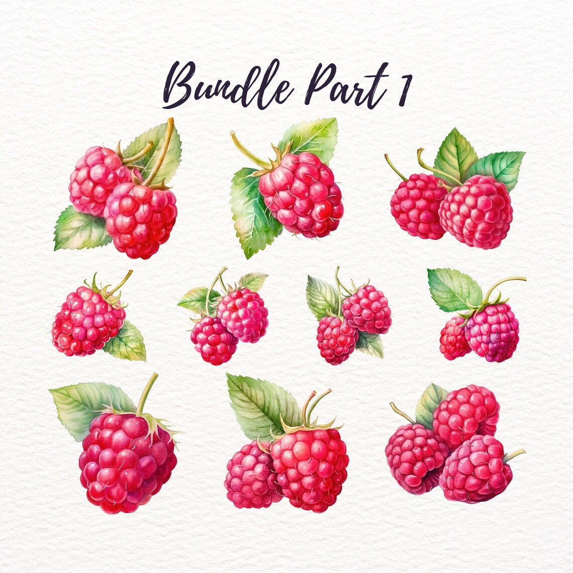 Watercolor Raspberry Clipart Bundle 20 Juicy Berry Illustrations ...