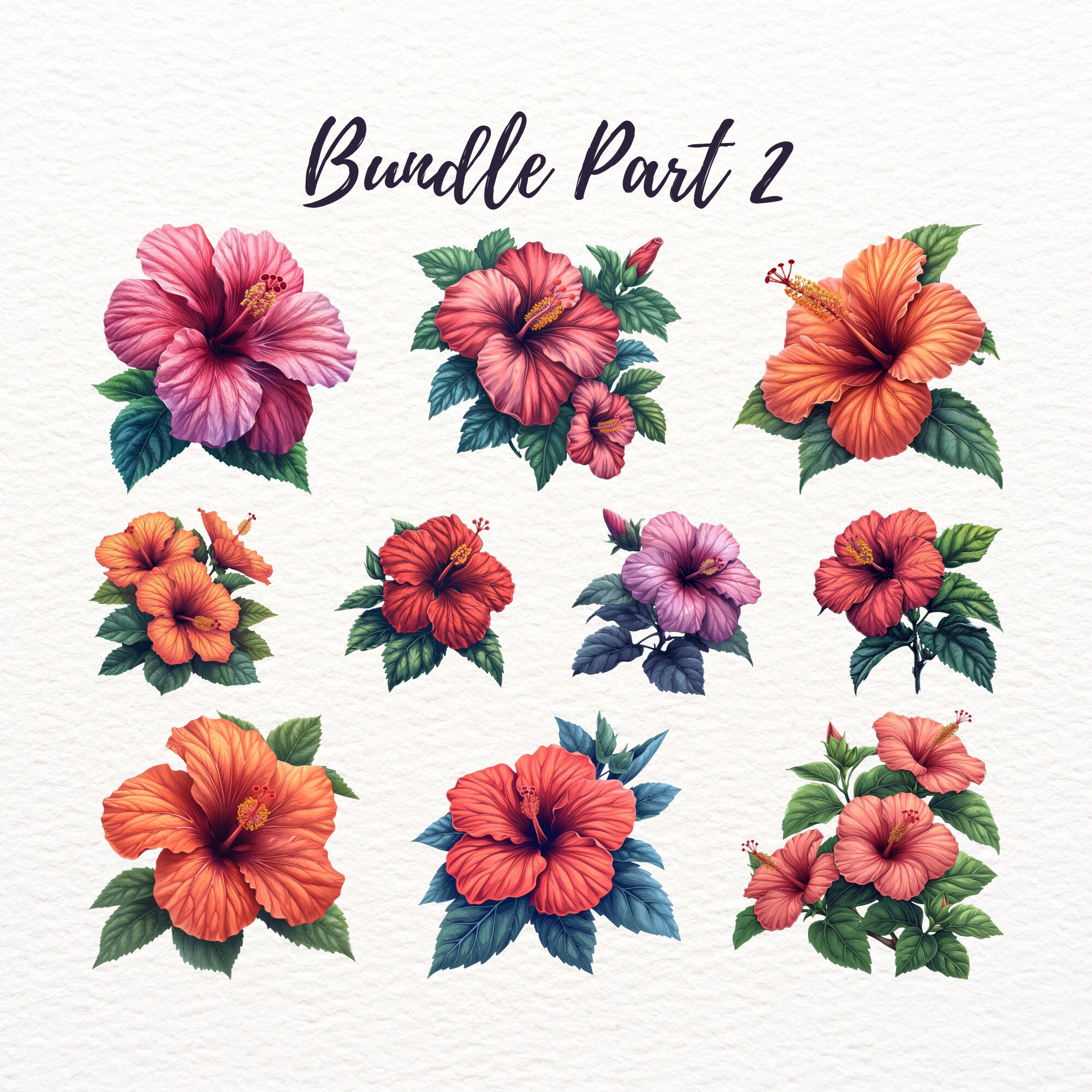 Hibiscus Clipart Bundle 20 Tropical Flower, Hawaiian Paradise PNG ...