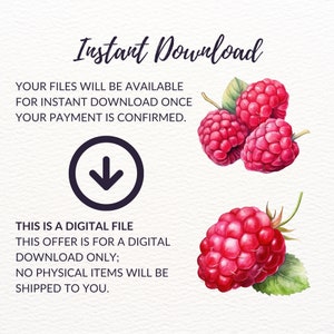 Watercolor Raspberry Clipart Bundle - 20 Juicy Berry Illustrations ...