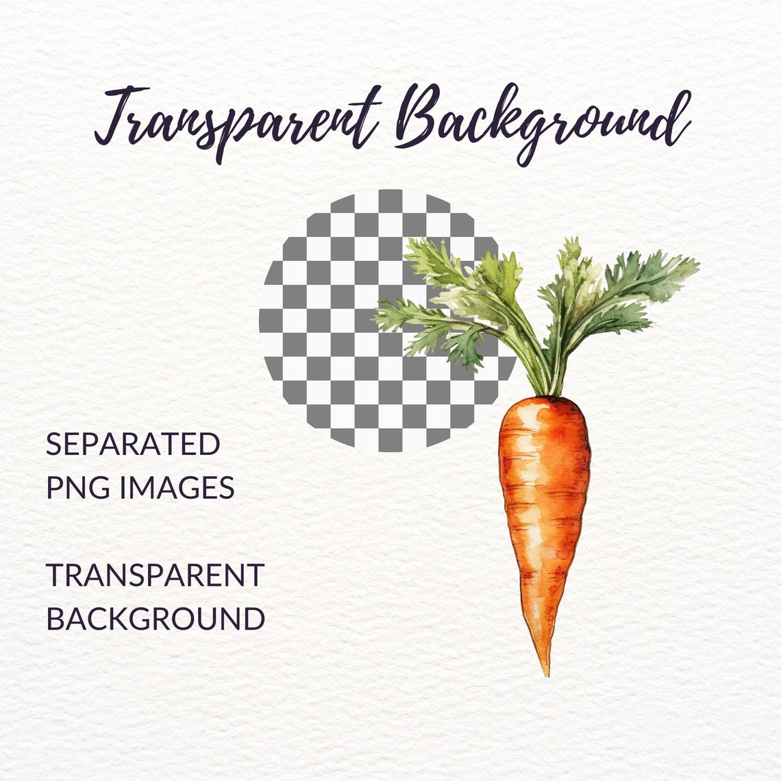 Watercolor Carrot Clipart Bundle - 20 Vegetable Garden Easter Graphics ...