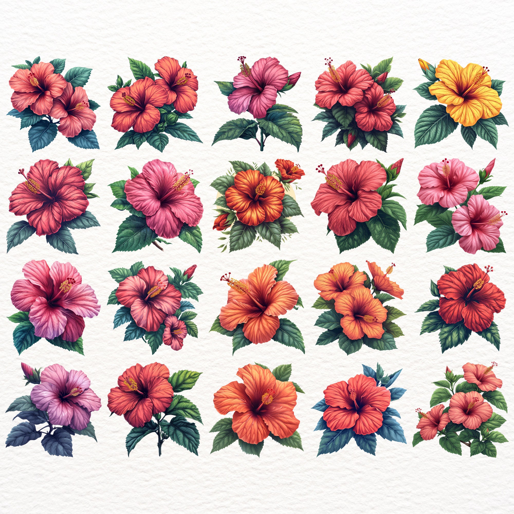 Hibiscus Clipart Bundle 20 Tropical Flower, Hawaiian Paradise PNG ...