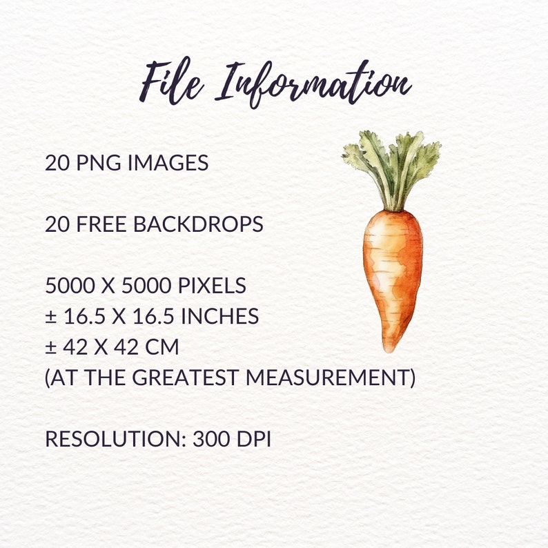 Watercolor Carrot Clipart Bundle - 20 Vegetable Garden Easter Graphics ...
