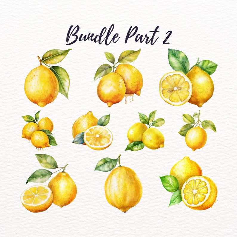 Watercolor Lemon Clipart Bundle - 20 Citrus Fruit PNG Graphics, Instant ...