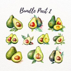 Watercolor Avocado Clipart Bundle - 20 Digital Avocado Images, Fruit ...