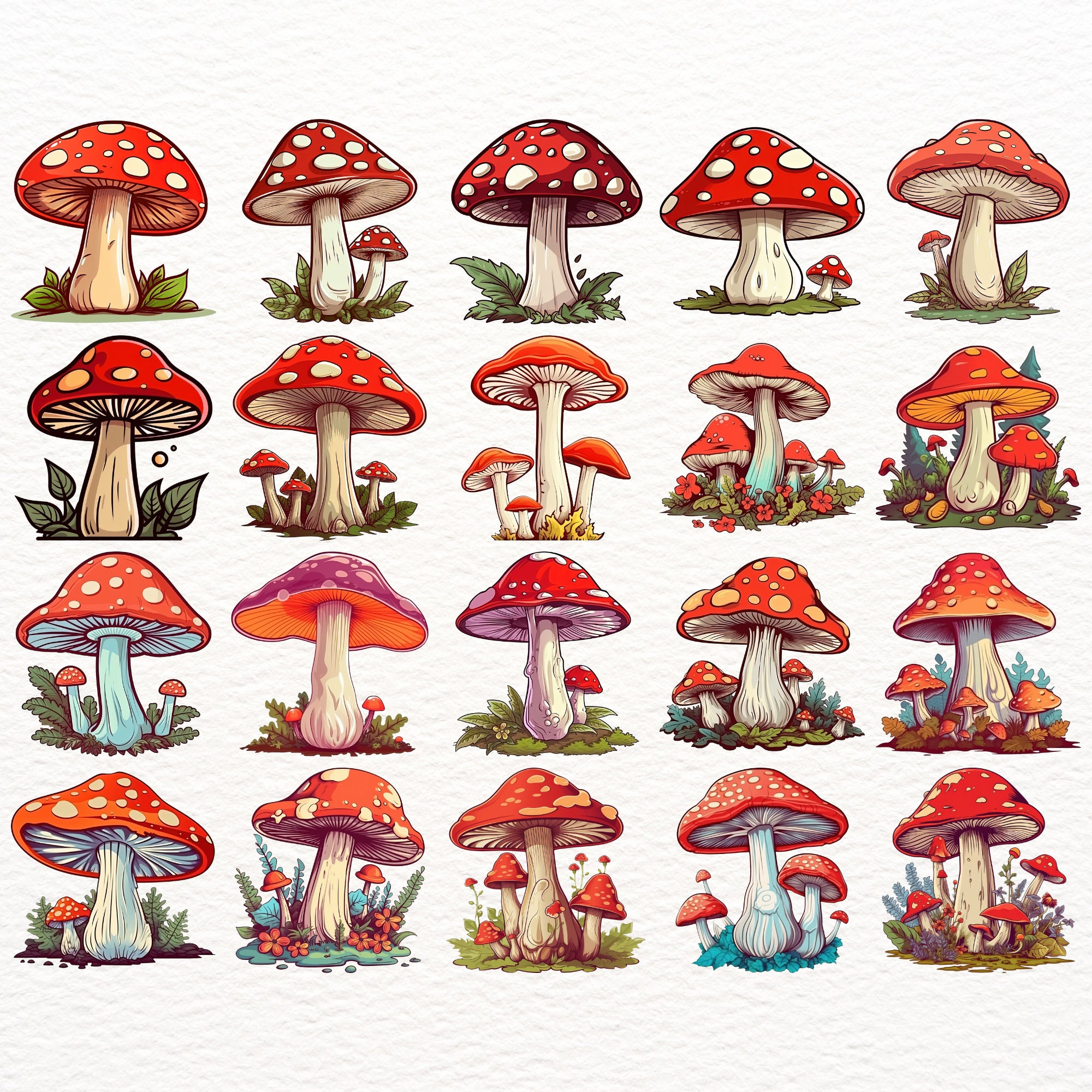Mushroom Clipart Bundle 20 Forest Fungi PNG Images, Instant Download ...