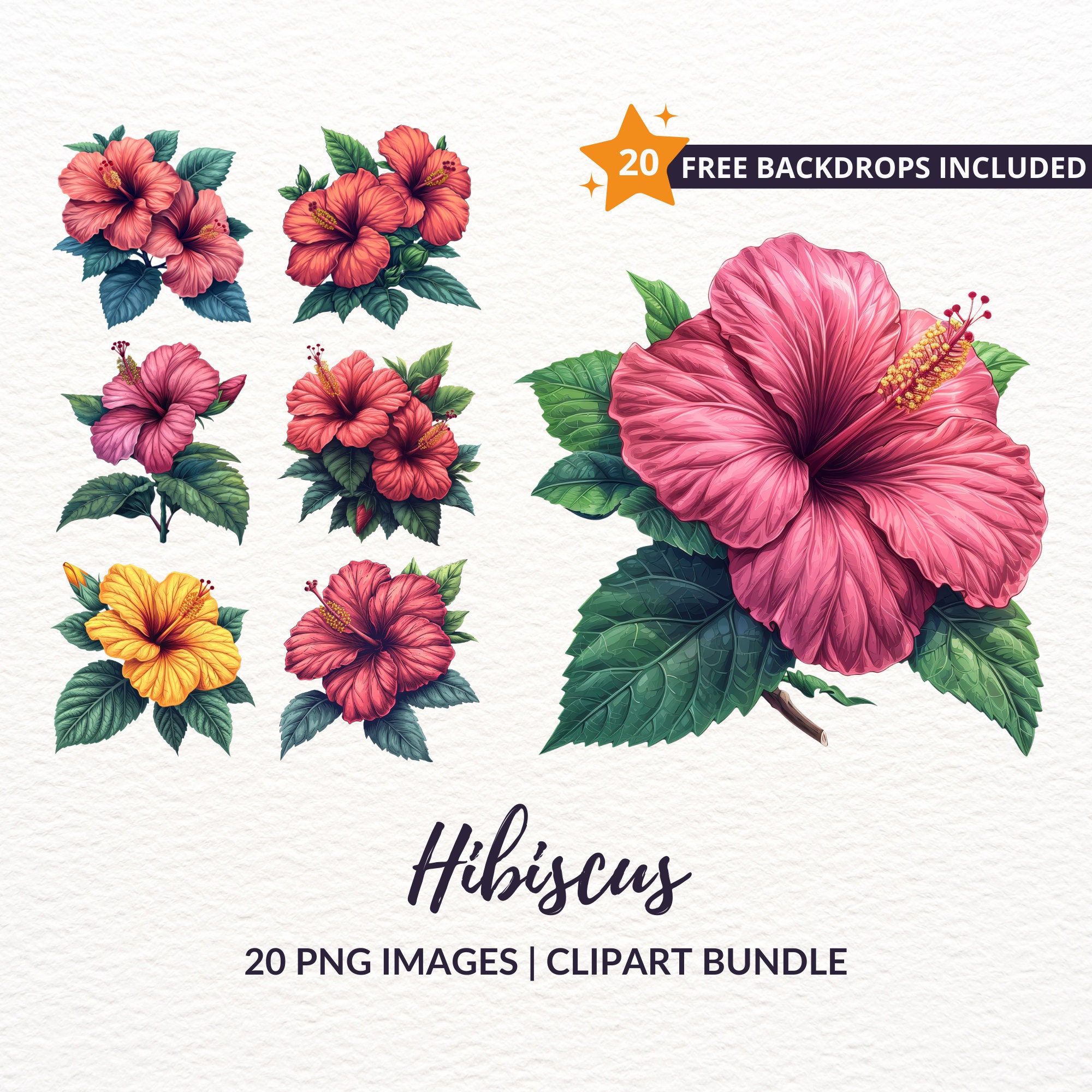 Hibiscus Clipart Bundle 20 Tropical Flower, Hawaiian Paradise PNG ...
