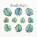 Watercolor Monstera Leaf Clipart Bundle 20 Tropical Jungle Leaves ...