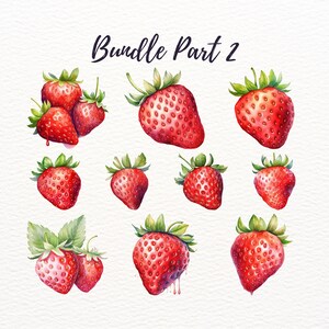 Watercolor Strawberry Clipart Bundle - 20 Sweet Berries PNG, Instant ...