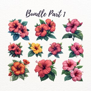 Hibiscus Clipart Bundle 20 Tropical Flower, Hawaiian Paradise PNG ...