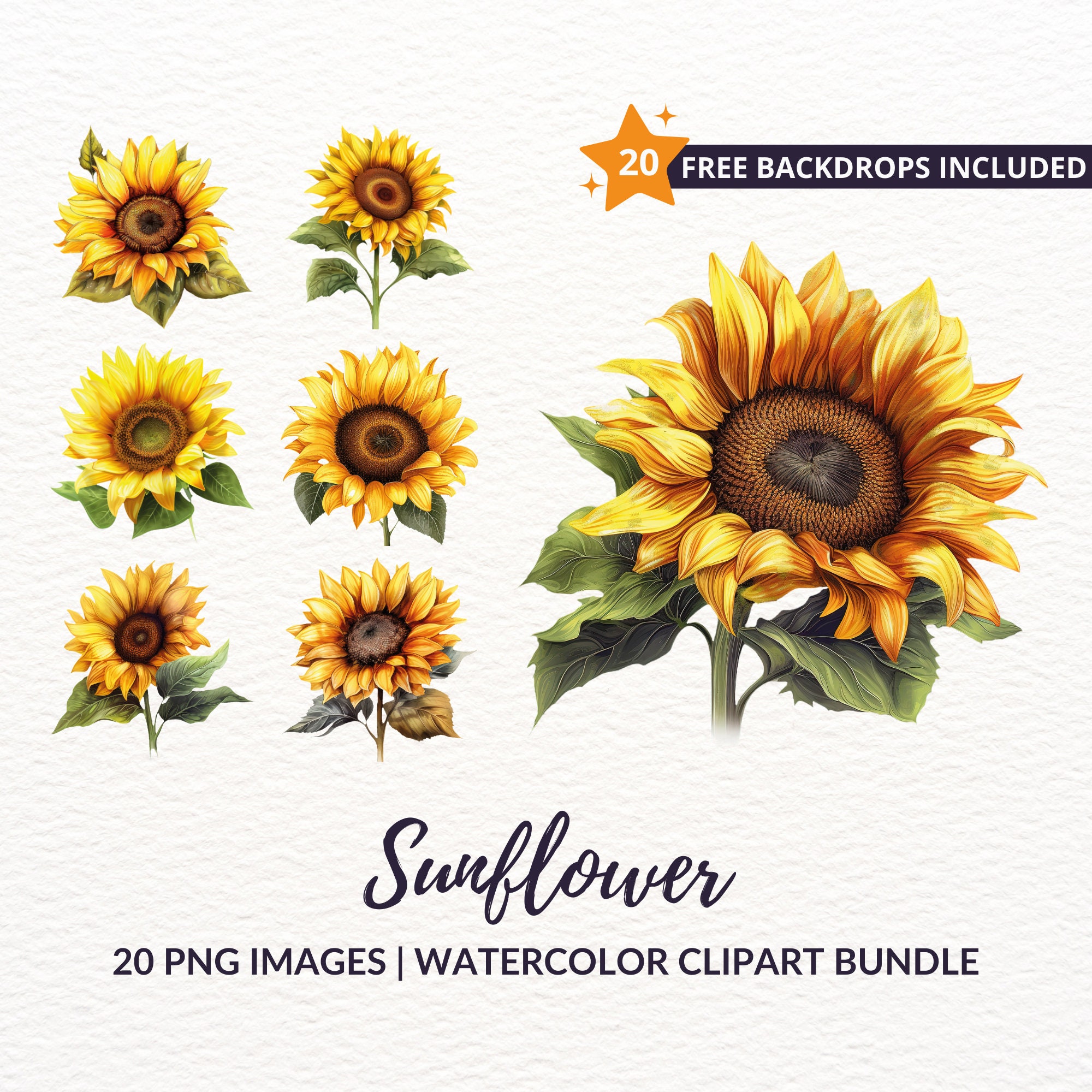Watercolor Sunflower Clipart Bundle - 20 Sunflower PNG Images ...