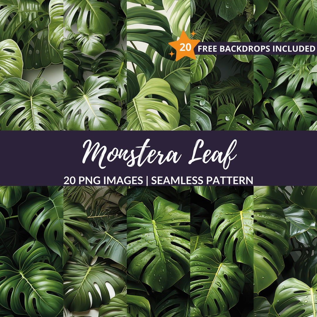Monstera Leaf Seamless Pattern - 20 Tropical Green Leaves Digital Paper ...