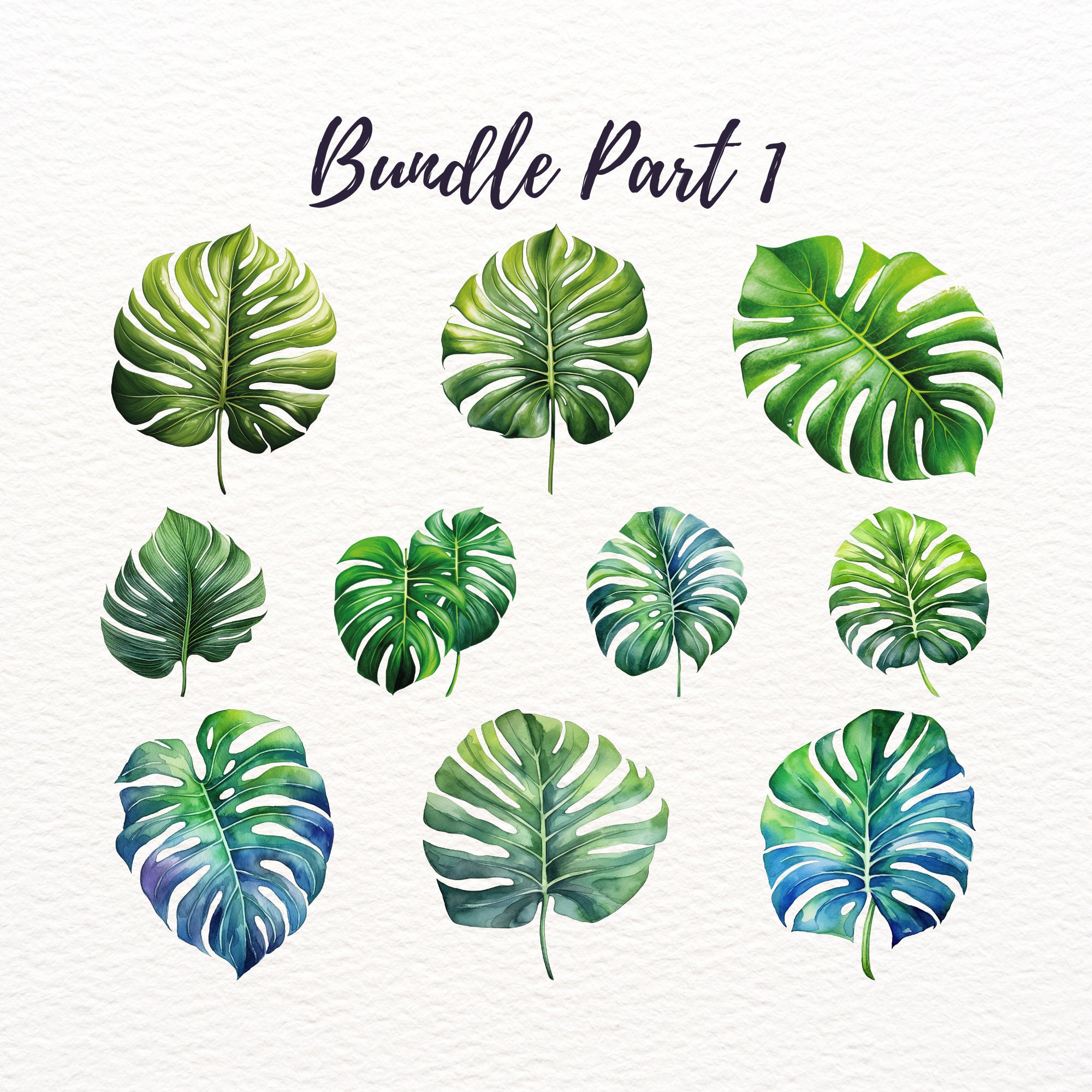 Watercolor Monstera Leaf Clipart Bundle 20 Tropical Jungle Leaves ...