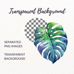 Watercolor Monstera Leaf Clipart Bundle - 20 Tropical Jungle Leaves ...