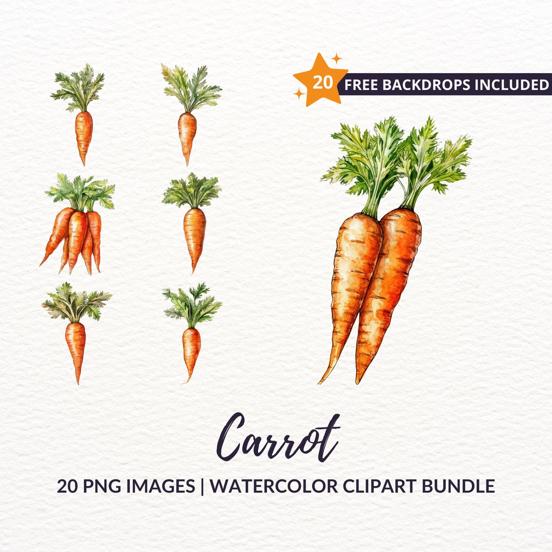 Watercolor Carrot Clipart Bundle - 20 Vegetable Garden Easter Graphics ...