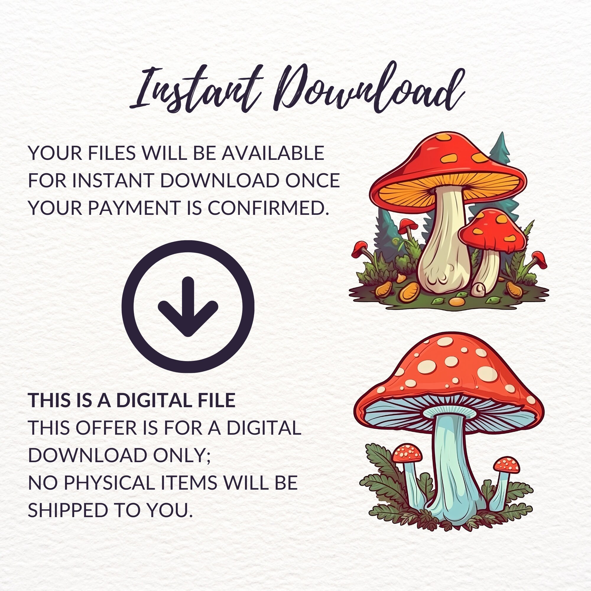 Mushroom Clipart Bundle 20 Forest Fungi PNG Images, Instant Download ...