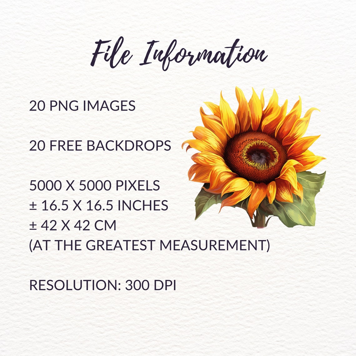 Watercolor Sunflower Clipart Bundle 20 Sunflower PNG Images - Etsy