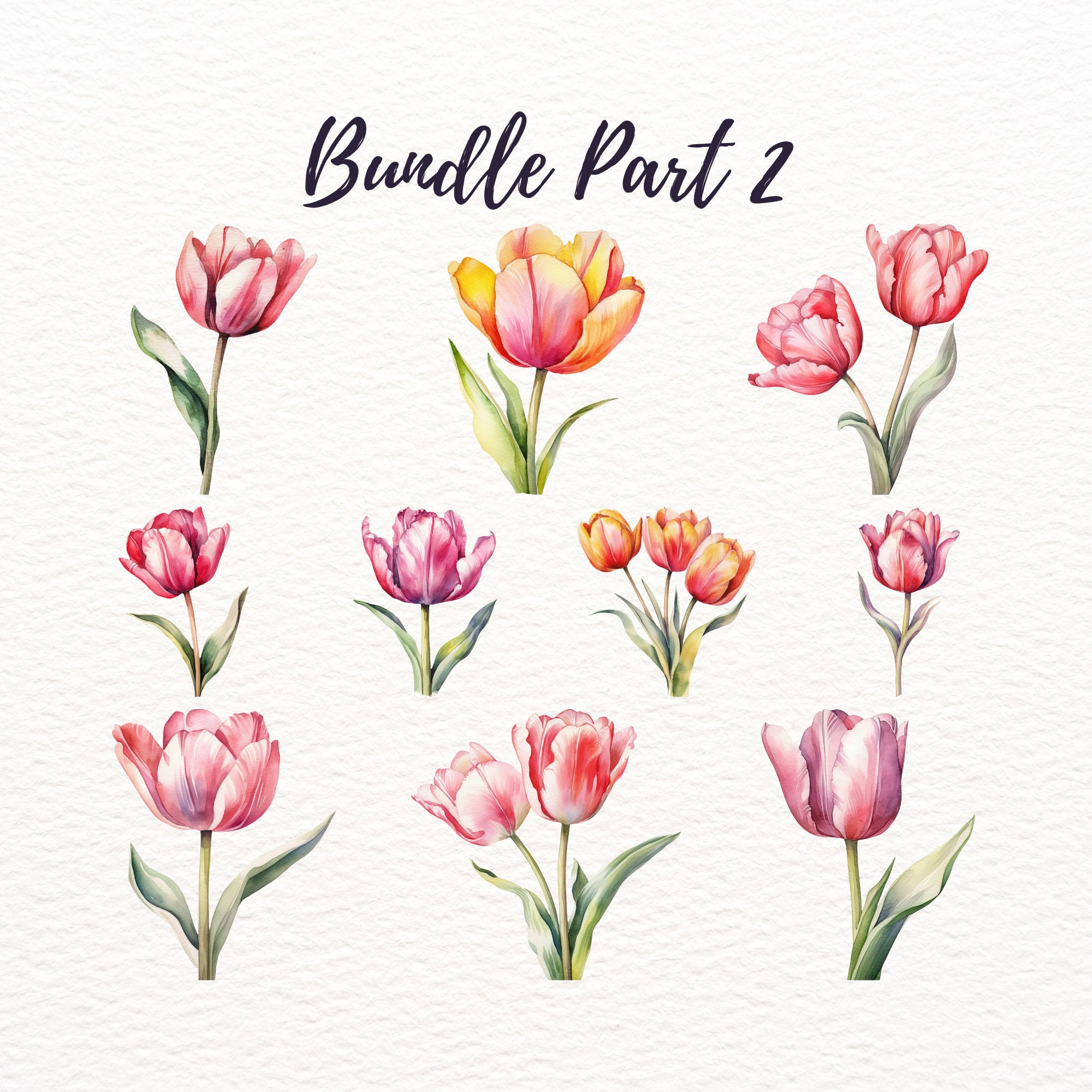 Watercolor Tulip Clipart Bundle 20 Floral Spring PNG Graphics, Instant ...